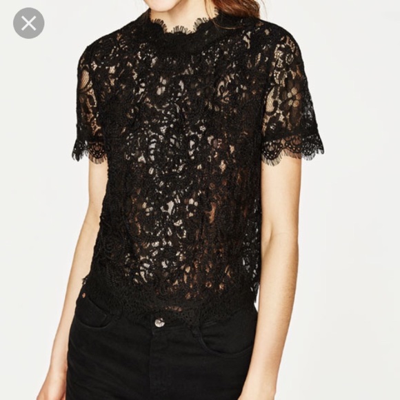 Zara | Tops | Zara Trafaluc Embroidered Lace Crochet Crop Top Black | Poshmark